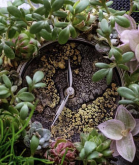 H. Moser & Cie. Luxury Watches | Cellini Jewelers NYC